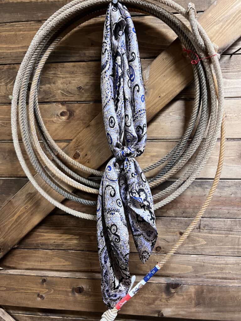 Ivory/Gold Paisley Wildrag - Saddle Rags